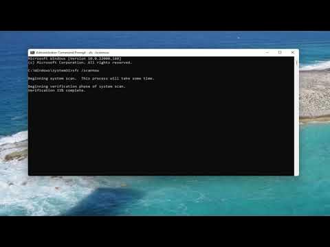 Can't Open PDF Files On Windows 11 - Quick Fix - YouTube