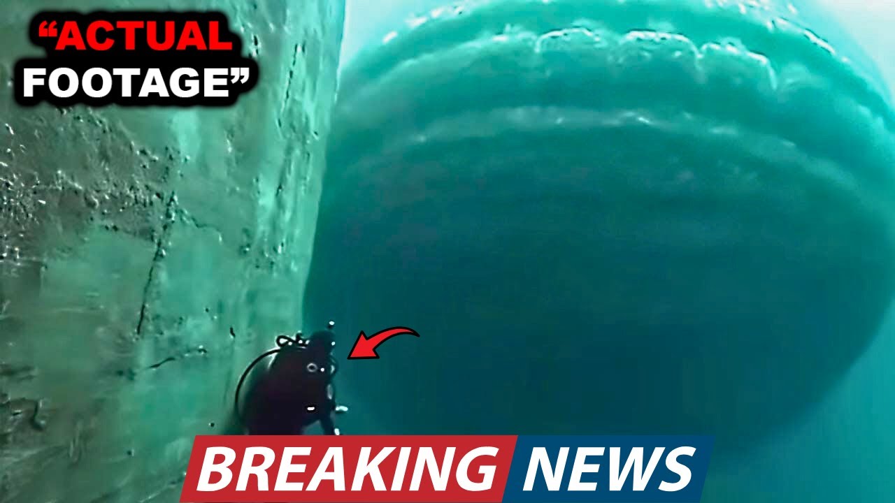 Australian Divers Captured a Giant Fast Moving Shape Under Sydney ...