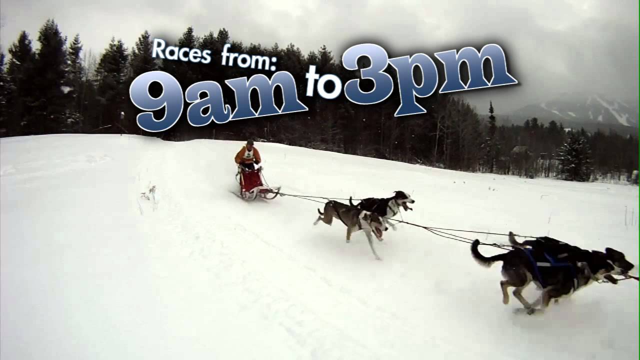 Sled Dog Dash 2013 CAXS11727 HQ Online - YouTube