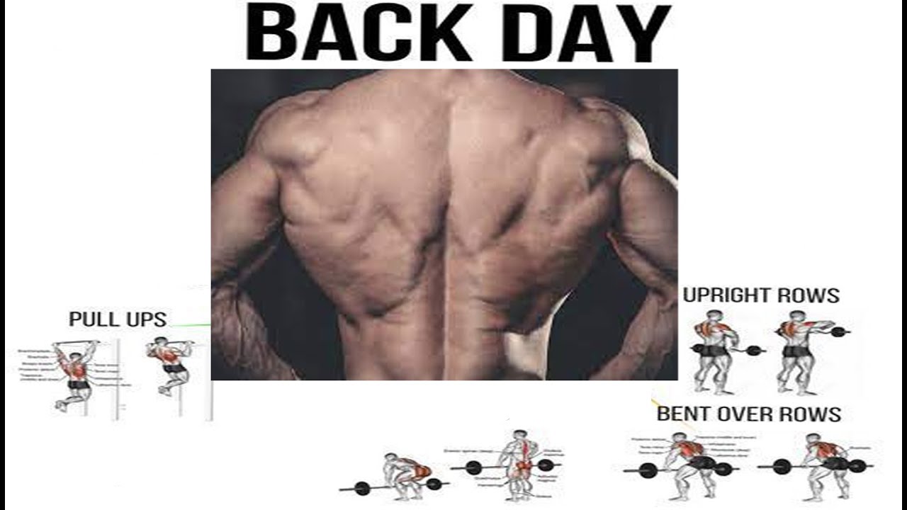 7 BEST EXERCISE FOR BIGGER BACK - FITJOB - YouTube