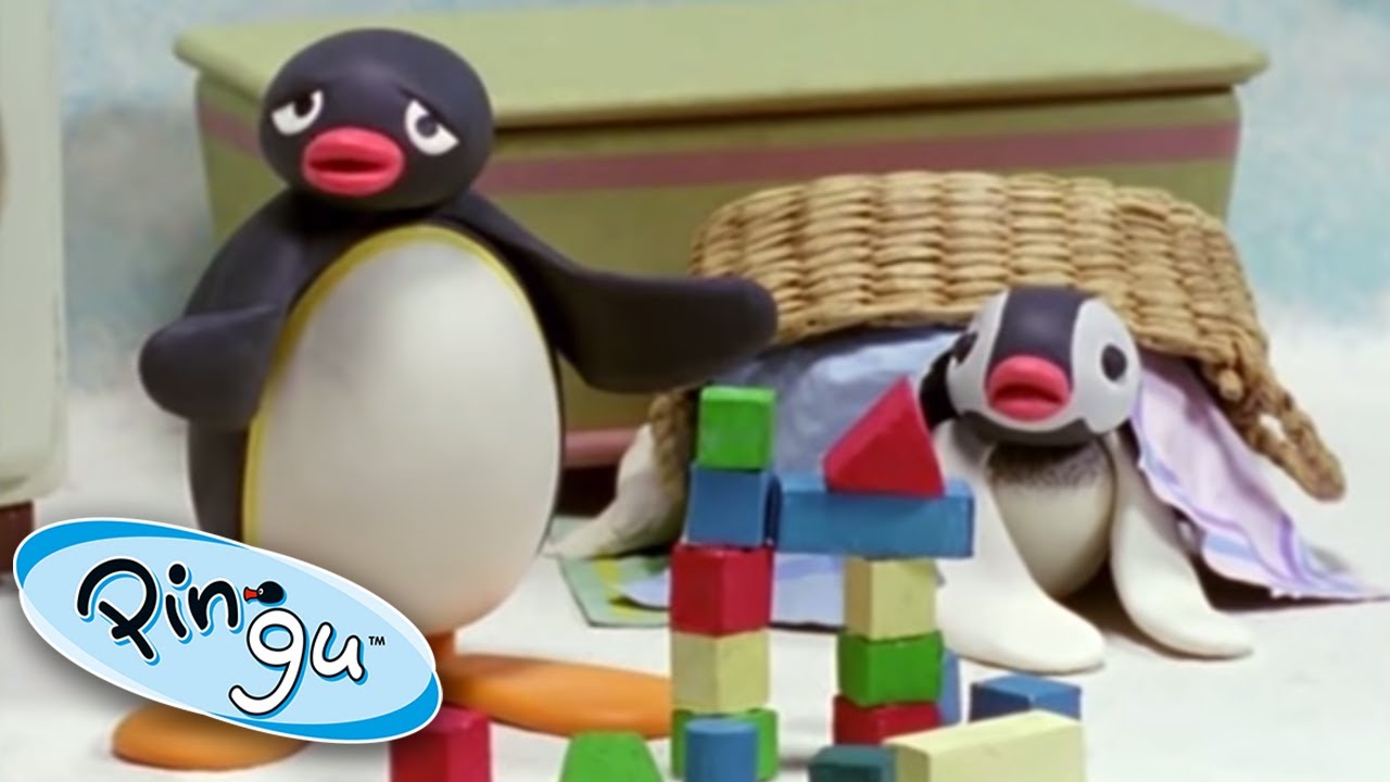 Crazy Day at Pingu's House! | Pingu Official | Cartoons for Kids - YouTube
