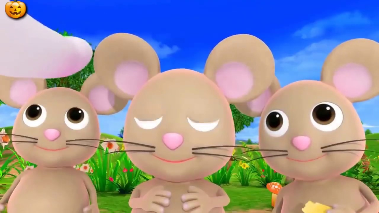 Chú thỏ con-chú vịt con- nhạc thiếu nhi vui nhộn - YouTube