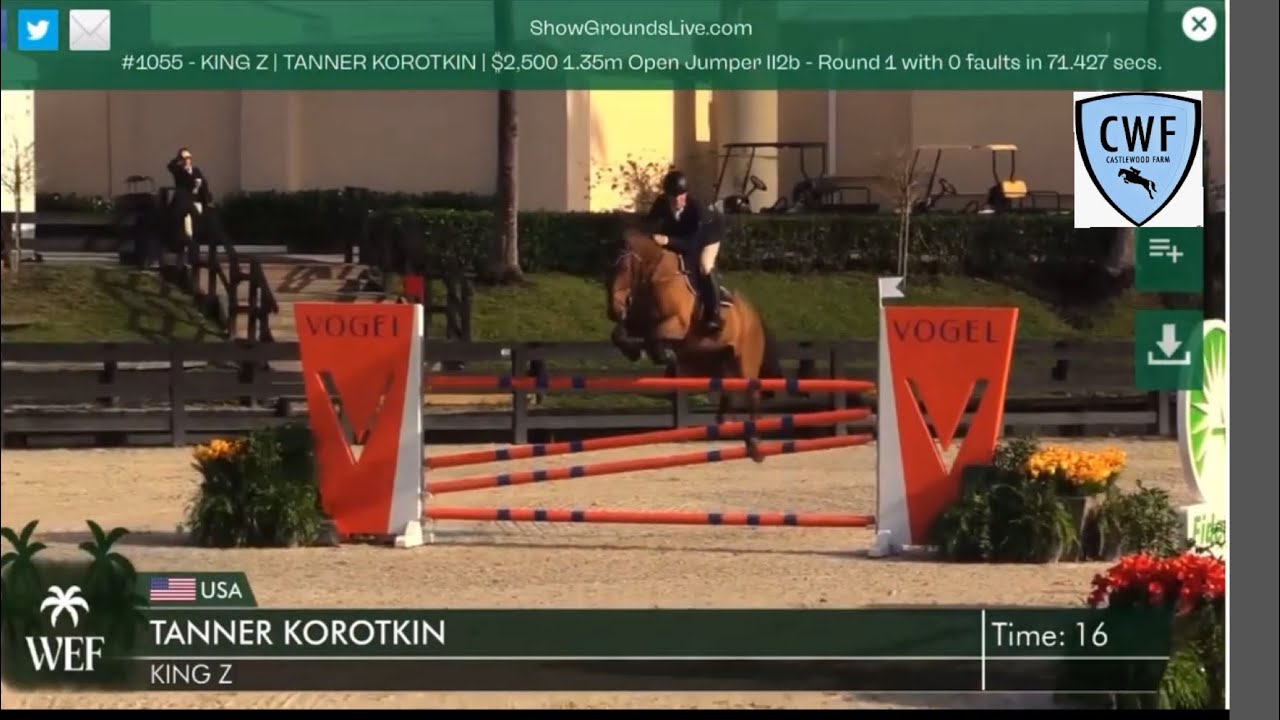 King Z & TSK WEF 1, 1.35m, 🥉, 2024 - YouTube