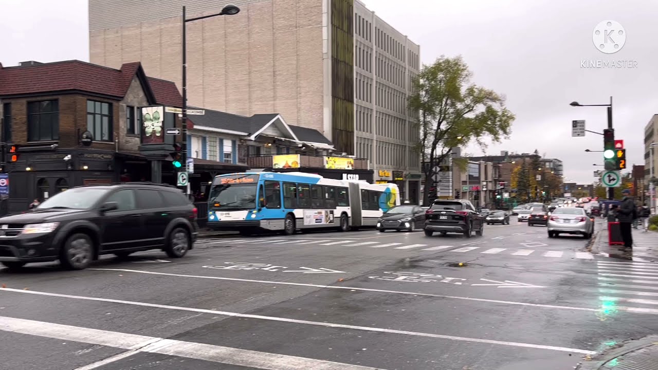 Montreal Bus Terminal || STM Buses Montreal || Cote Des Neiges Street # ...
