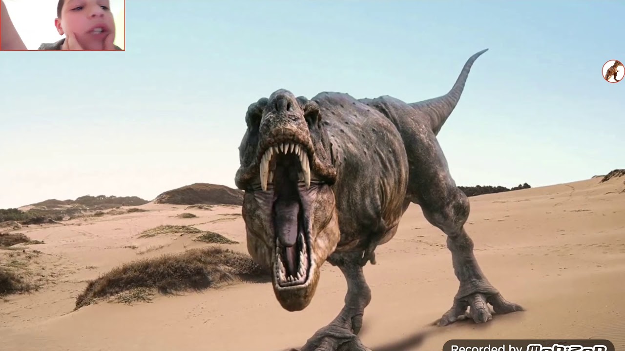 Le top trois des carnivores 🦖🦖🦖 - YouTube