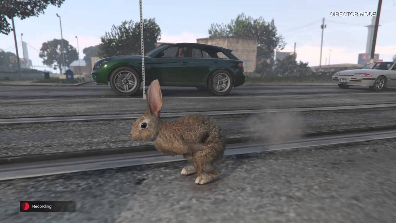 Rabbit killed GTA V - YouTube