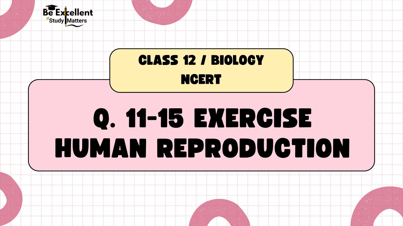 Q. 11-15 Exercise / Human Reproduction / Class 12 / Biology /#ncert # ...