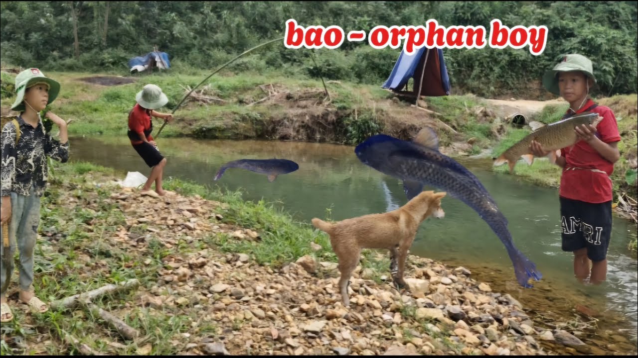 Today, the orphan boy Bao went fishing and caught many super big fish ...