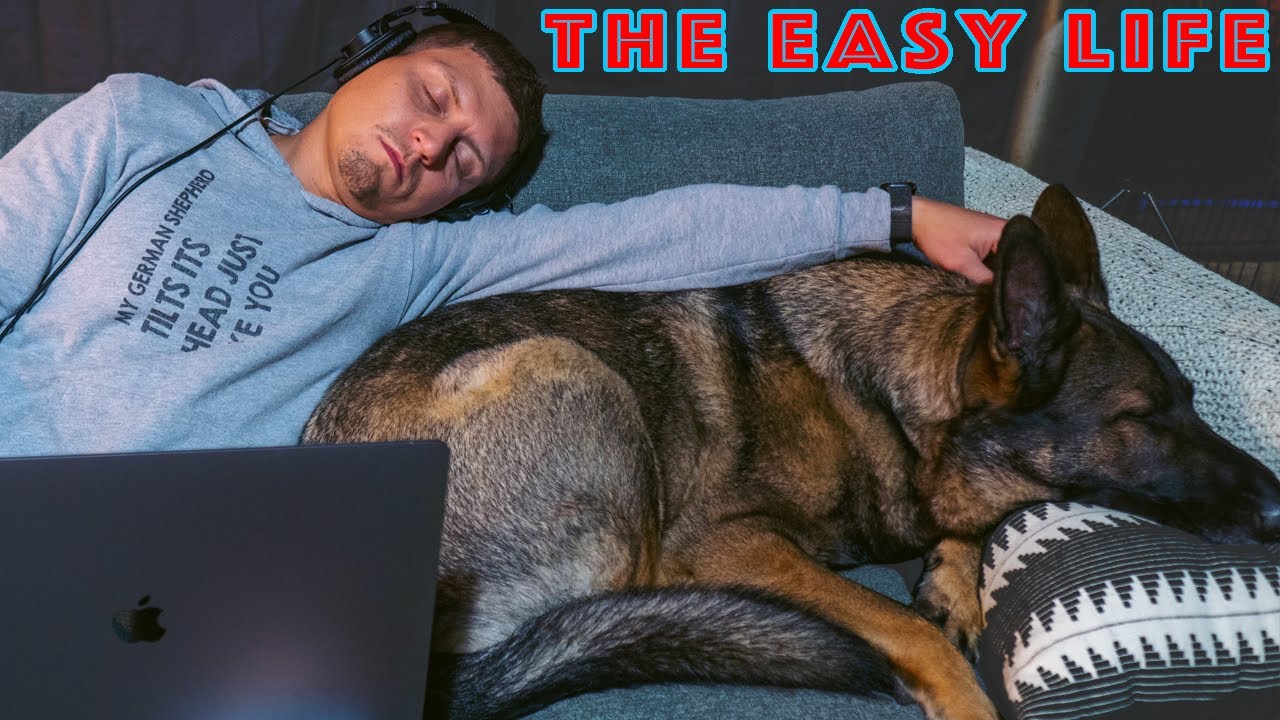 DAY IN THE LIFE OF A YOUTUBER! - Me and my German Shepherds. - YouTube