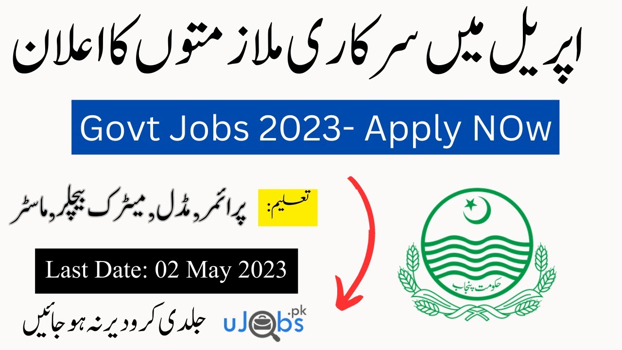 Govt jobs 2023 notification in Punjab - National Commission for Human ...