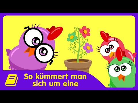 Die Kleine Henne Pünktchen Mini - So kümmert man sich um eine Pflanze