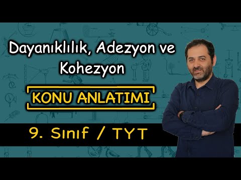 Madde ve Özellikleri - 2 (Adezyon, Kohezyon, Yüzey Gerilimi, Kılcallık, Dayanıklılık)