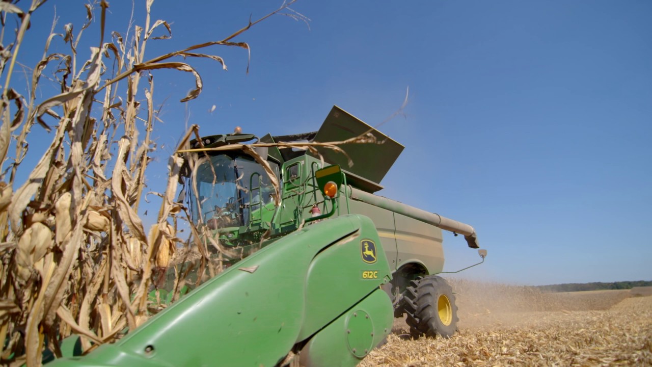 Farming Feeds Alabama - Wheat and Feed Grains - YouTube