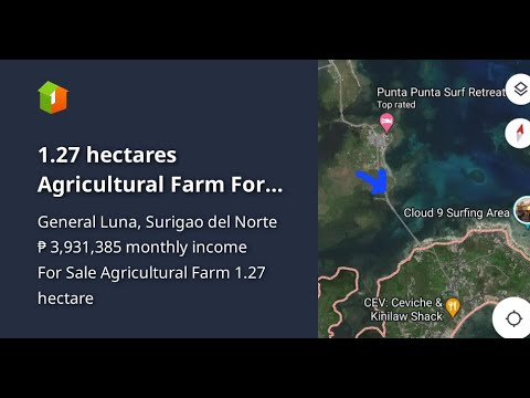 1.27 hectares Agricultural Farm For Sale - YouTube