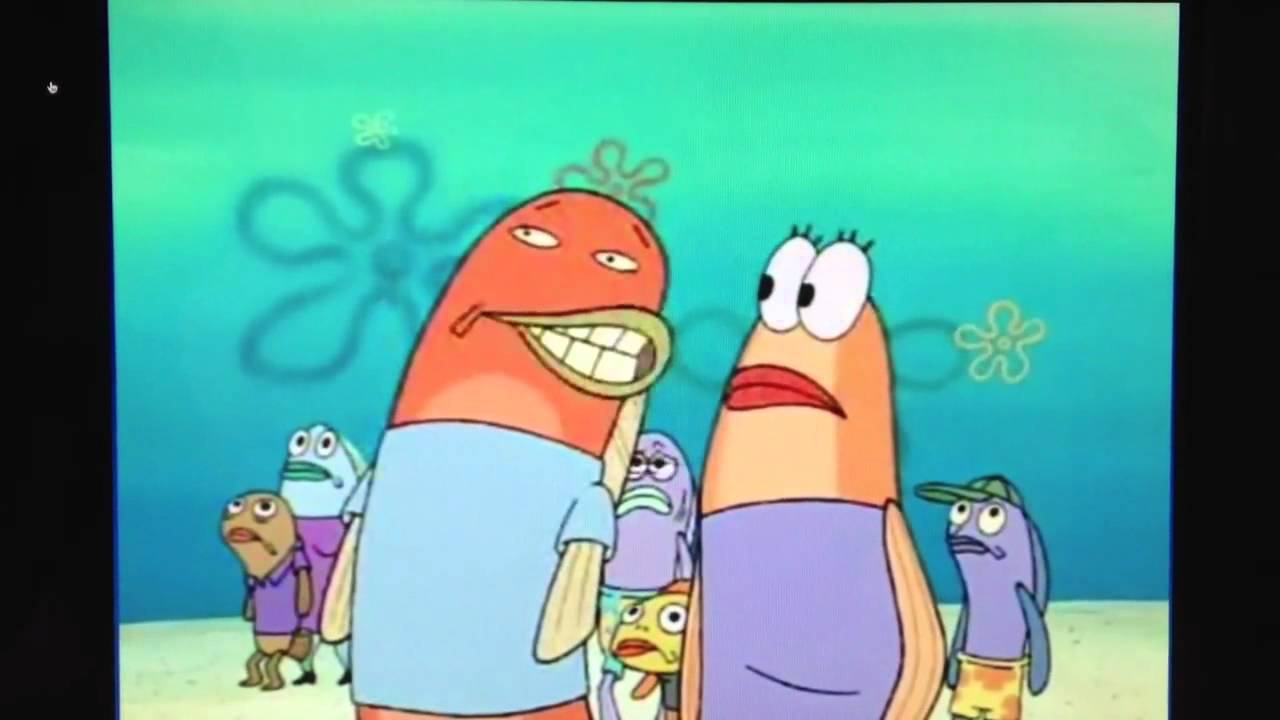 This is a load of barnacles - YouTube