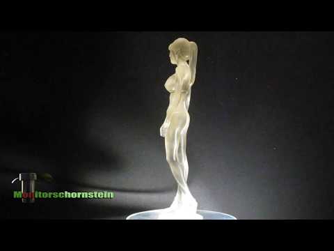 Naomi 'SexyCyborg' Wu 3 D Print