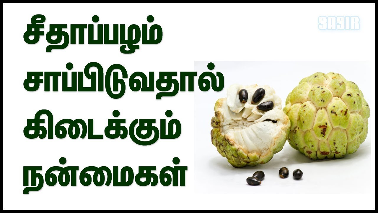 Custard Apple In Tamil custard-apple-in-tamil