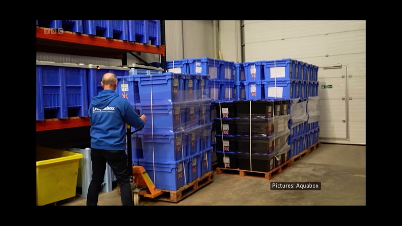 BBC East Midlands News Nov 2024 - YouTube