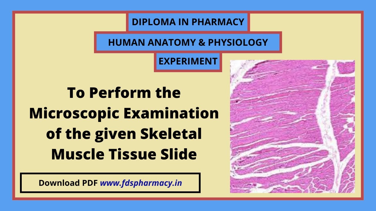 Practical : To perform the microscopic examination of the given ...