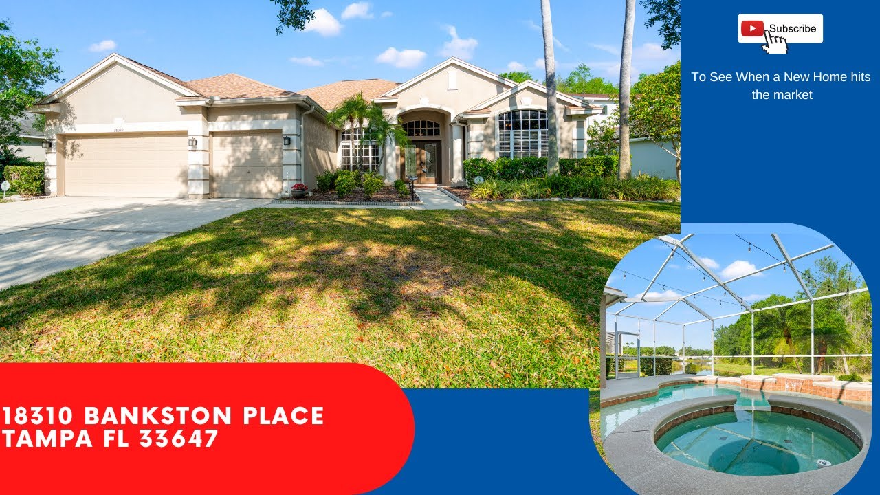 18310 Bankston Place Tampa FL 33647 - YouTube