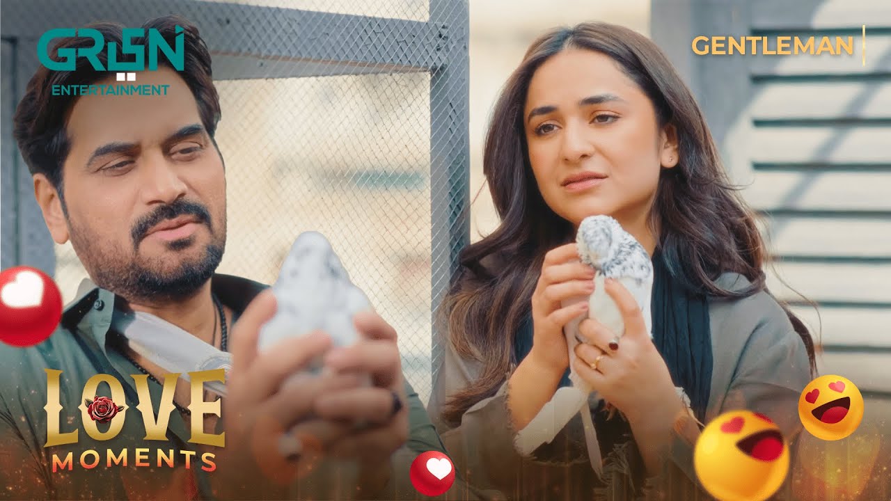 Pyaar Ke Do Awara Panchi 💕#humayunsaeed #yumnazaidi | Gentleman | Green ...