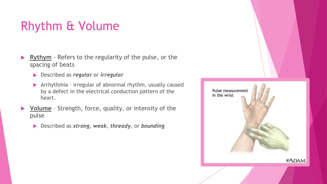 Pulse PowerPoint - YouTube