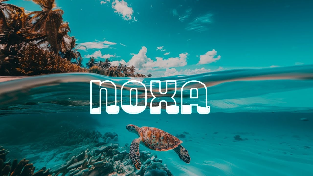 Turtle – Lichu (No Copyright Music) - YouTube