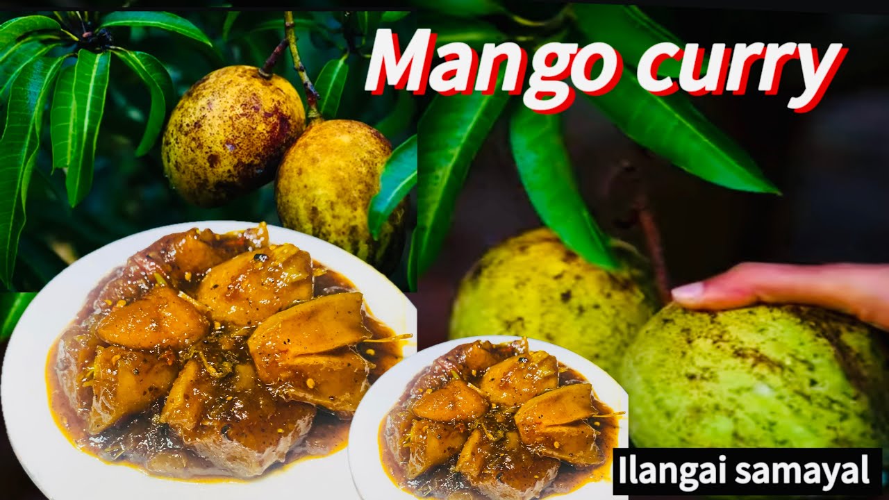 Mango curry / Sri Lankan Kiduhu special mango curry recipe/ Tamil ...