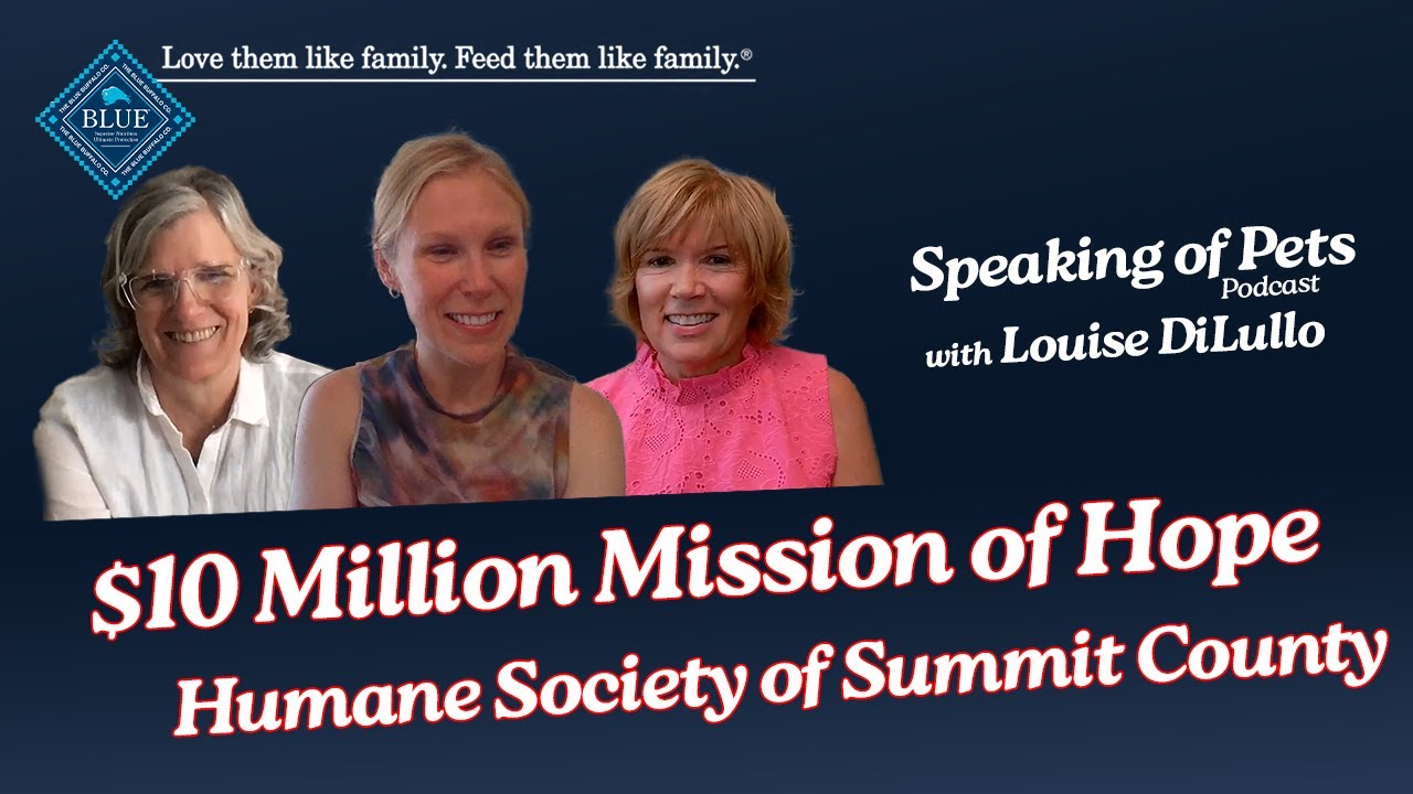 Humane Society of Summit County’s $10 Million Dollar Mission of Hope ...