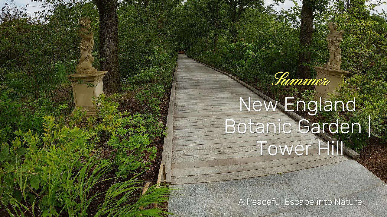 New England Botanical Garden Walk – Summer 2025 - YouTube