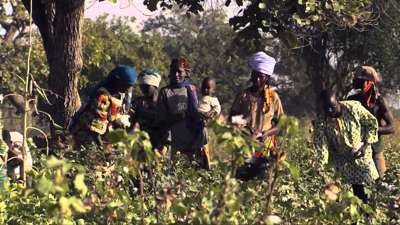 hessnatur - Die textile Kette - Folge 1 - Wie die Bio-Baumwolle wächst ...