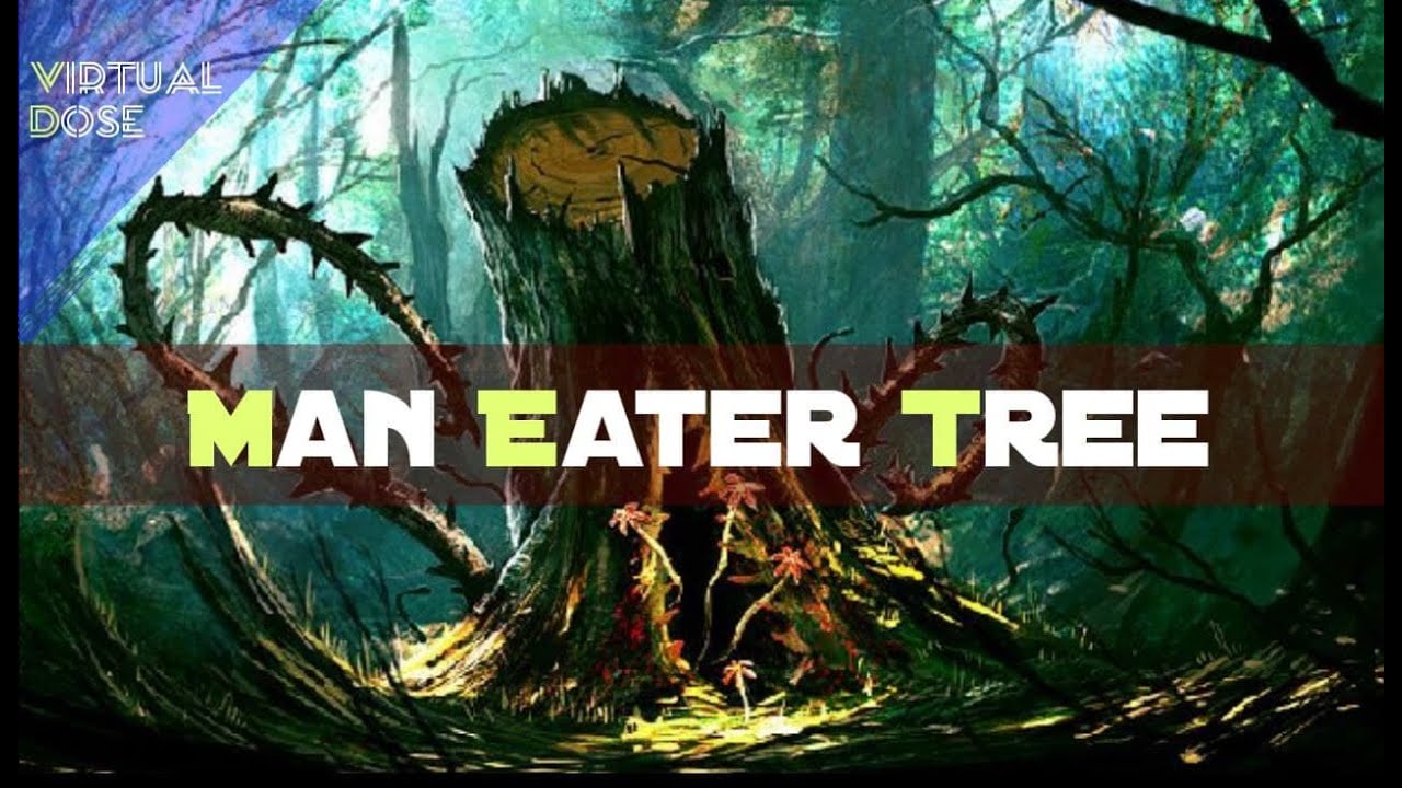 অ্যামাজনের মানুষ খেকো গাছ || Amazon Man Eater Tree in Bangla - YouTube