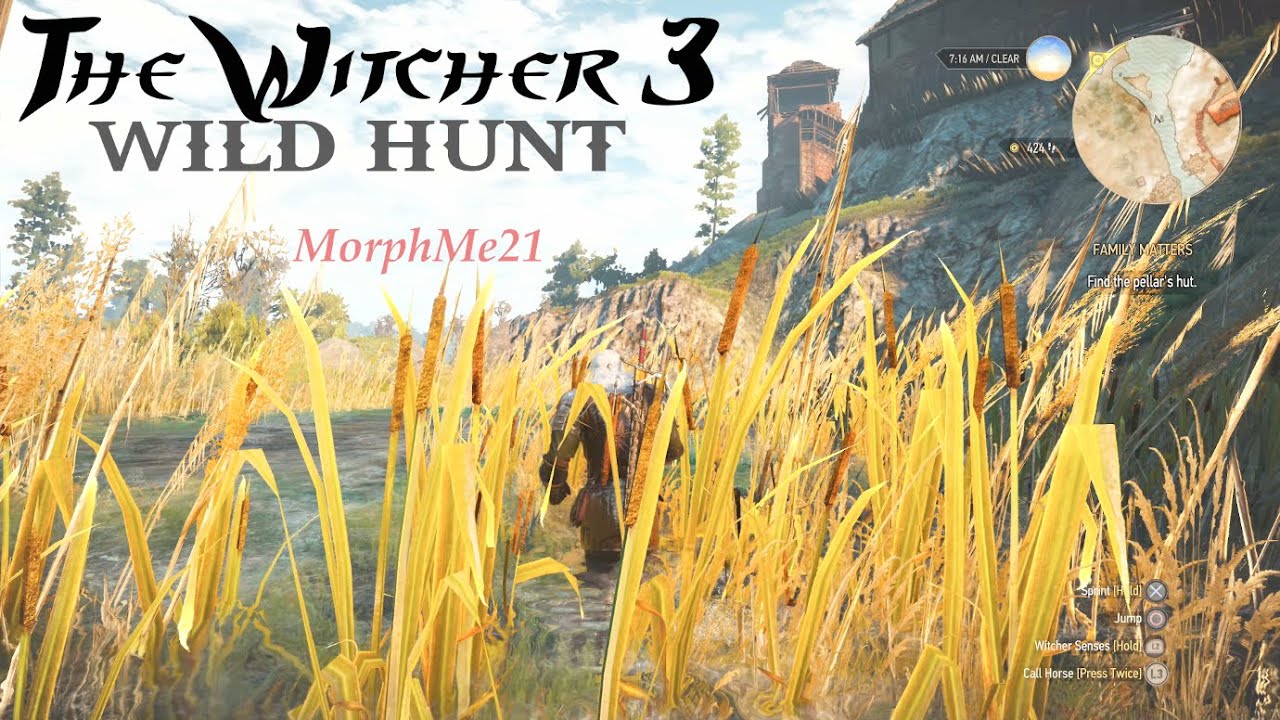 Witcher 3 - part 20: hidden treasure near Velen - YouTube