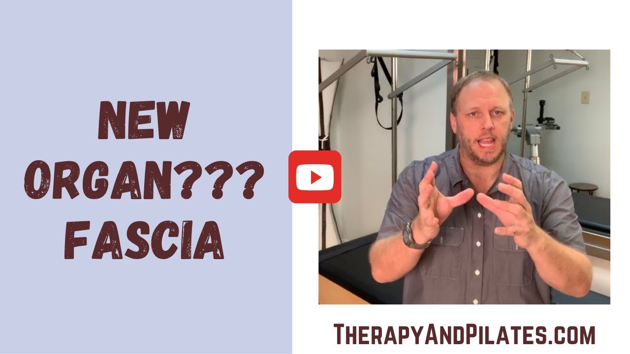 INTERSTITIUM: Science Has Found A New Organ… We Call It FASCIA & Have ...