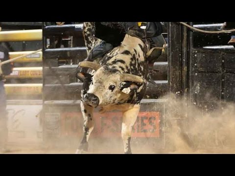 TOP BULL: Air Time takes out Jess Lockwood (PBR)