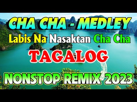 TAGALOG CHACHA MEDLEY NONSTOP REMIX  | INIIBIG KITA Labis na Nasaktan Chacha Remix 2023