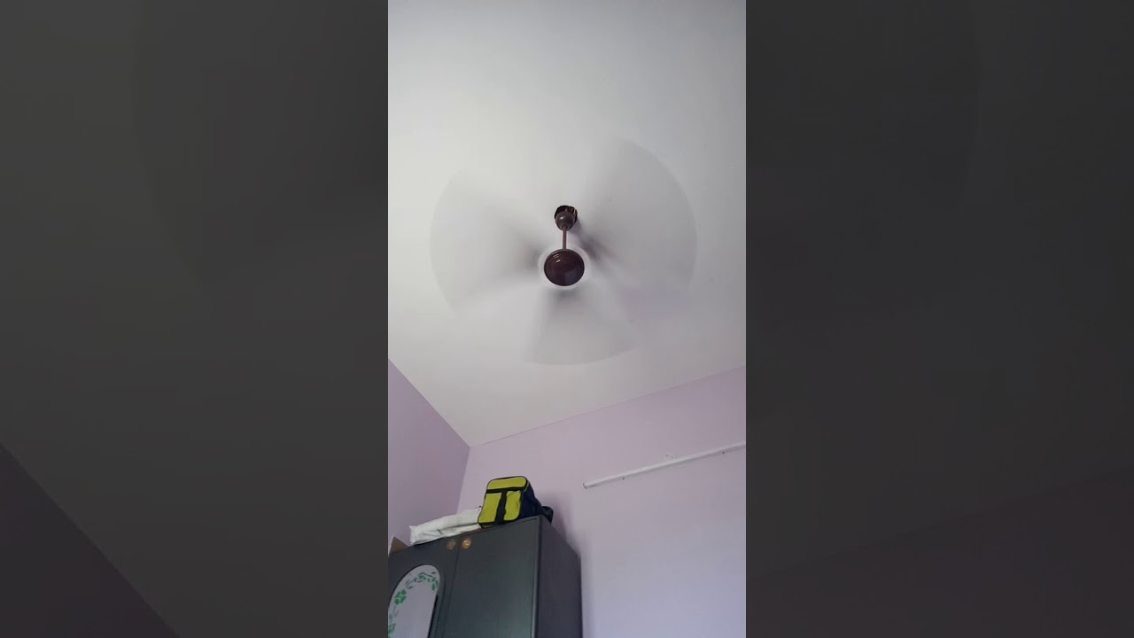 fan song - YouTube