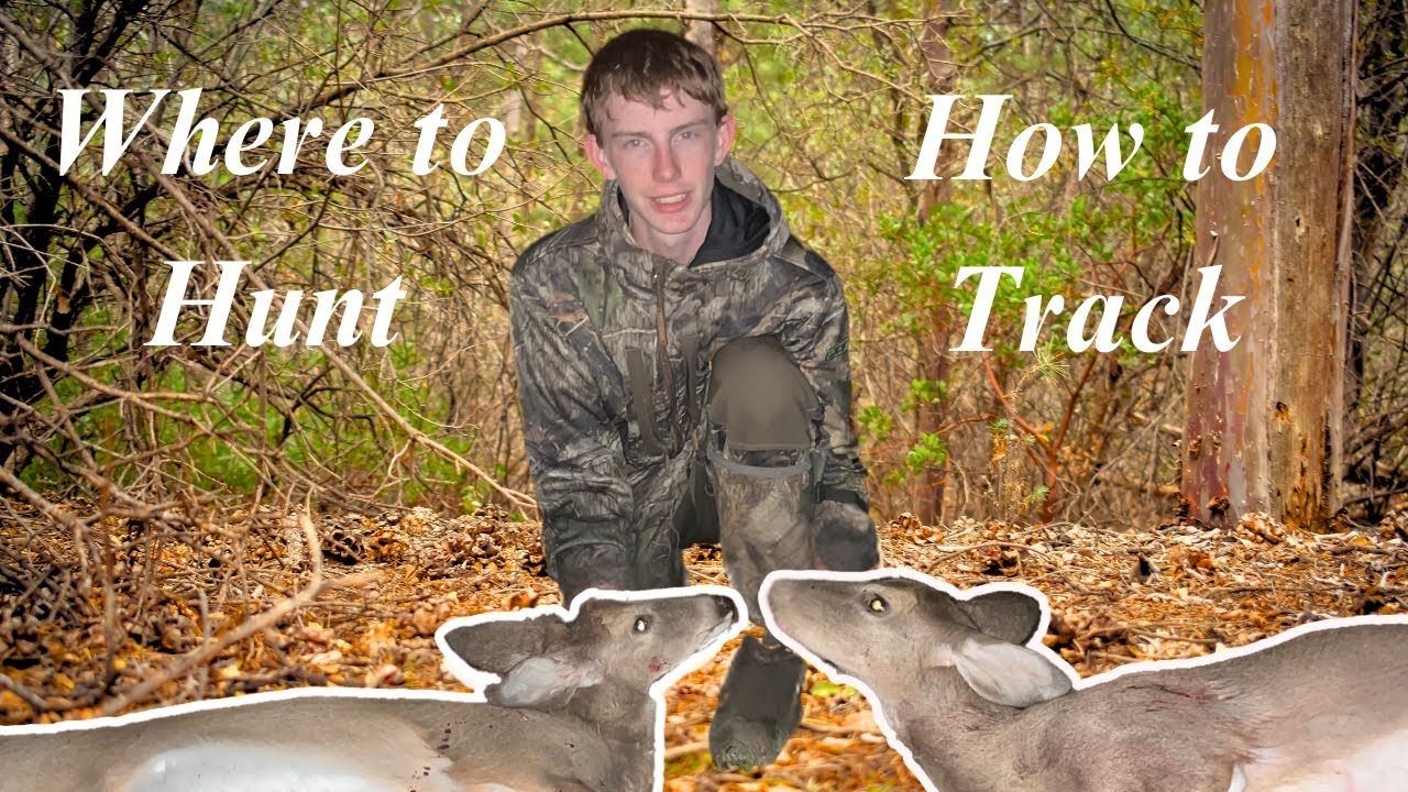 How to Deer Hunt— 2 Deer Down LESS than 15 Seconds - YouTube