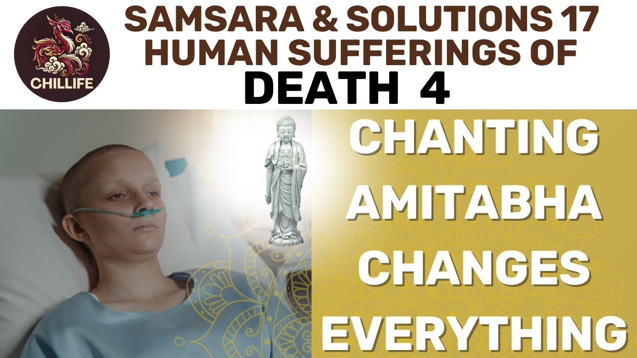 Samsara & Reincarnation Explained: Why is it KEY to Rebirth in the ...