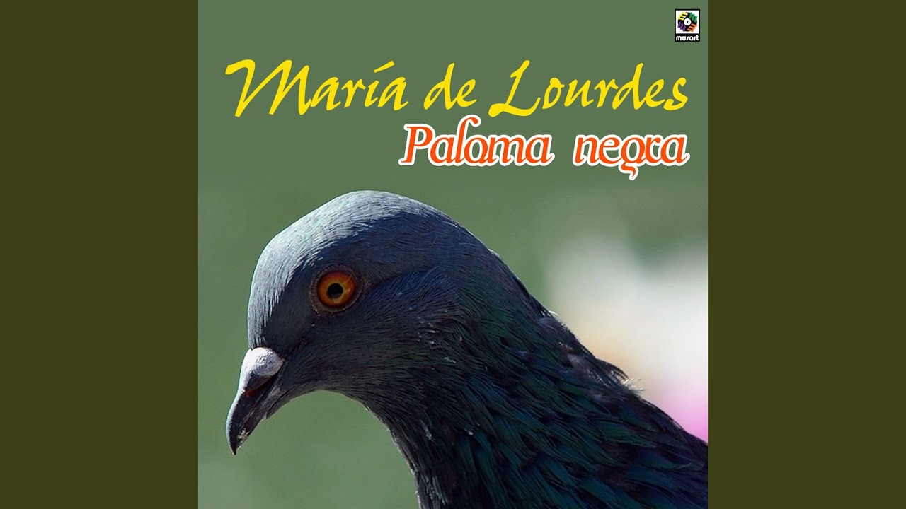Cucurrucucú Paloma - YouTube