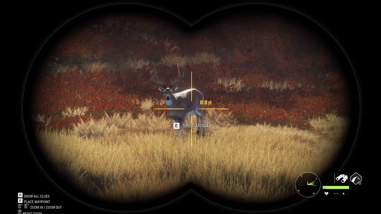 Three HUGE whitetail in the Layton Lakes reserve come across my tripod ...