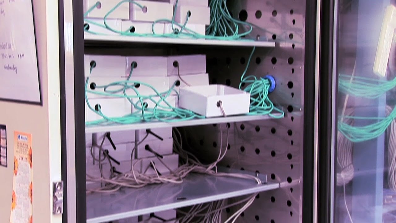 What Is The Burn Test at Geraldine Raposo blog