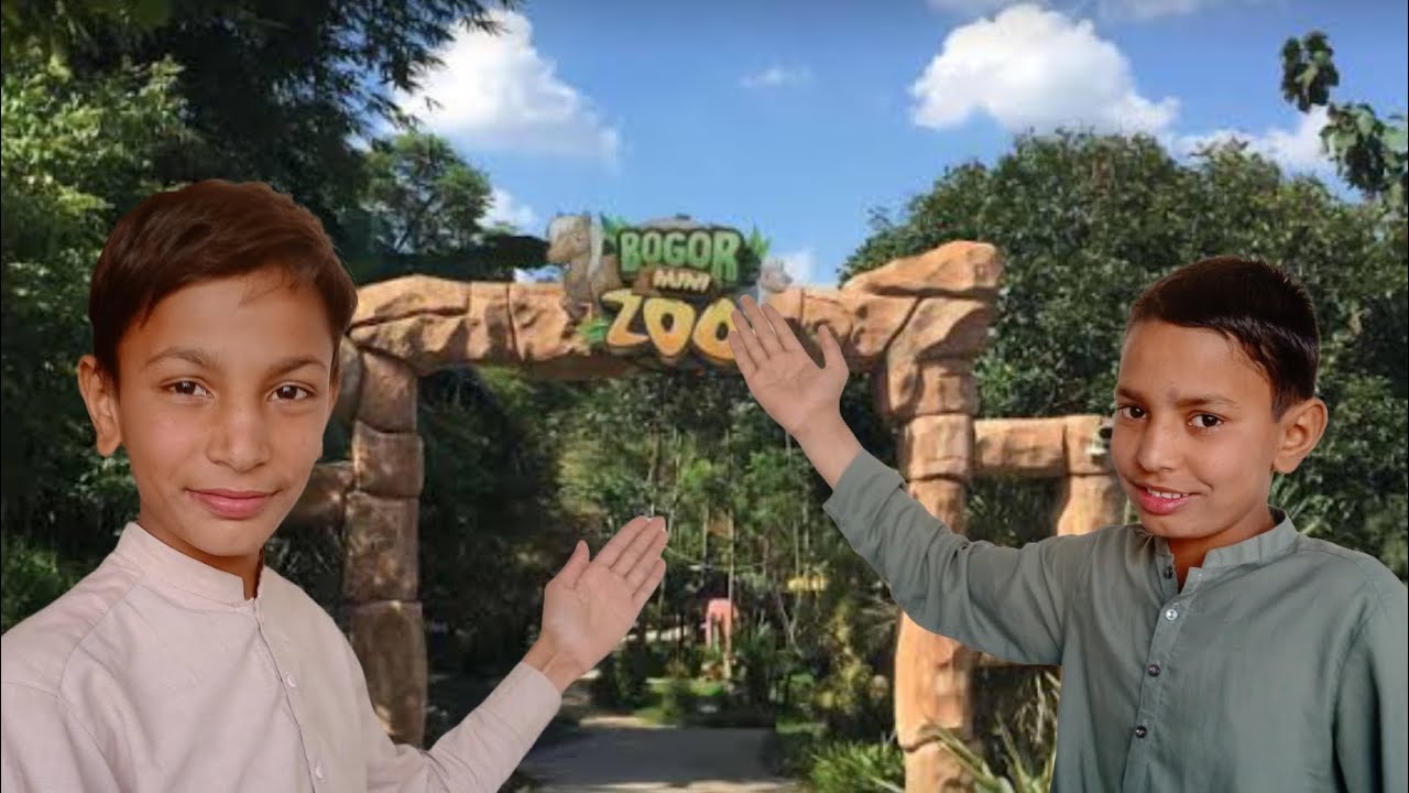 My Mini zoo - YouTube