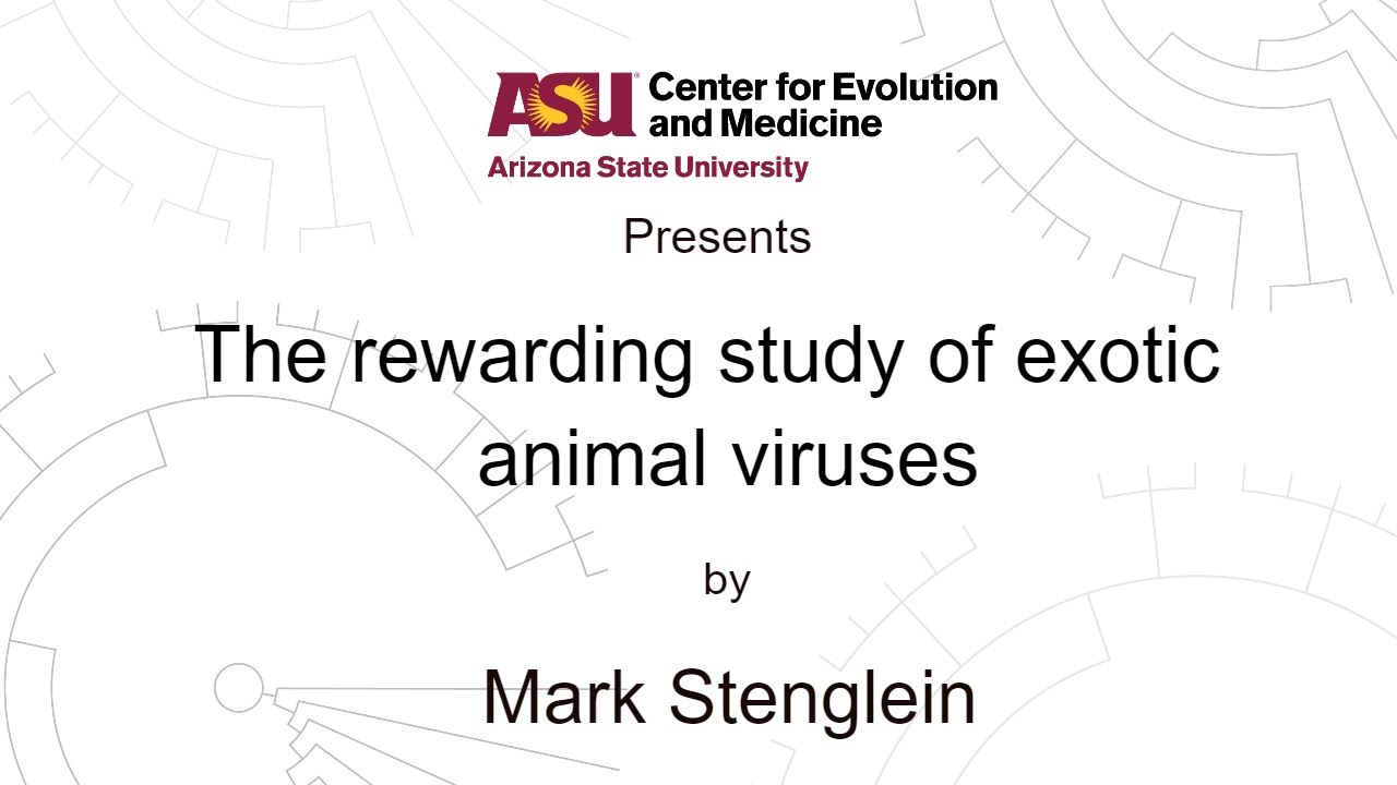 The rewarding study of exotic animal viruses | Mark Stenglein - YouTube