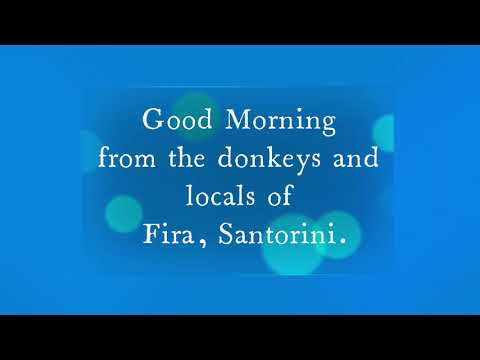 Santorini donkeys on their way to work.