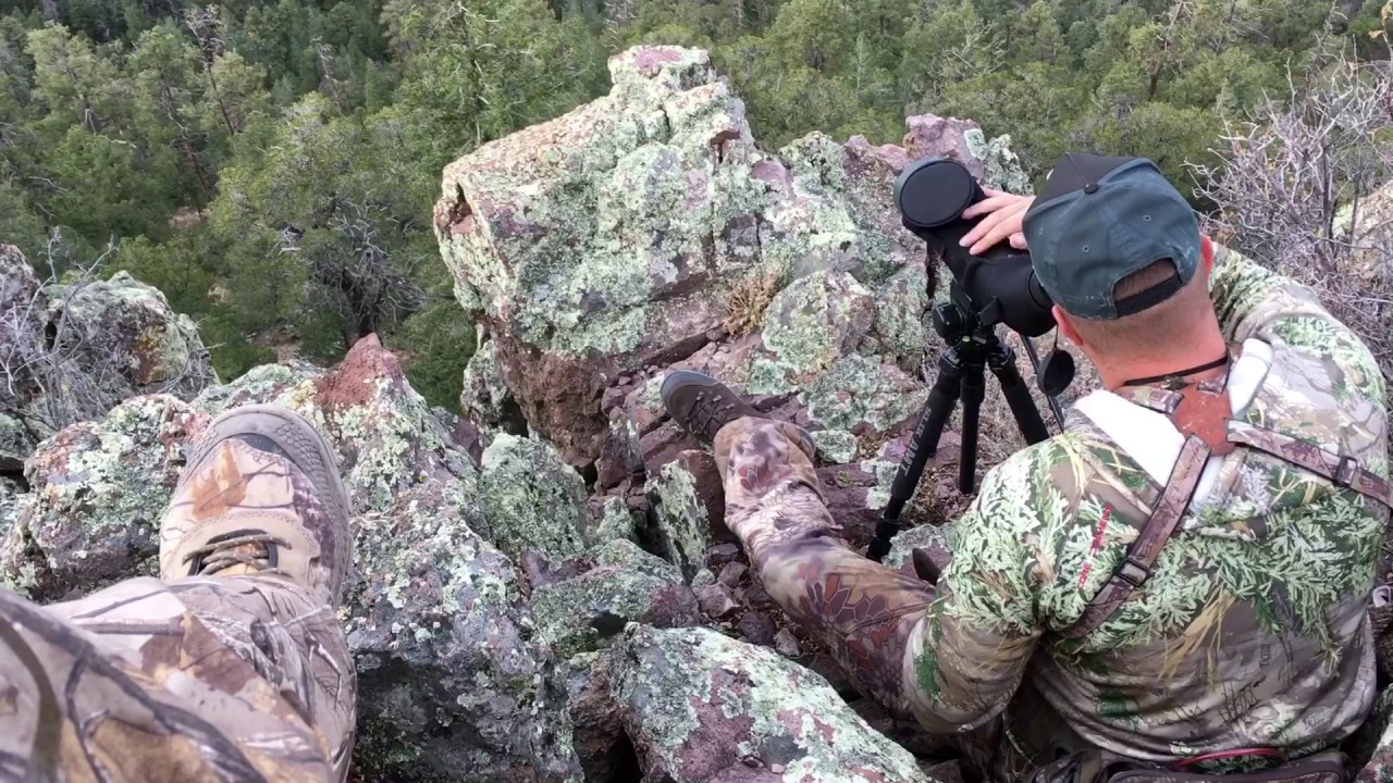 NM Avid Hunter Gila Hunt - YouTube