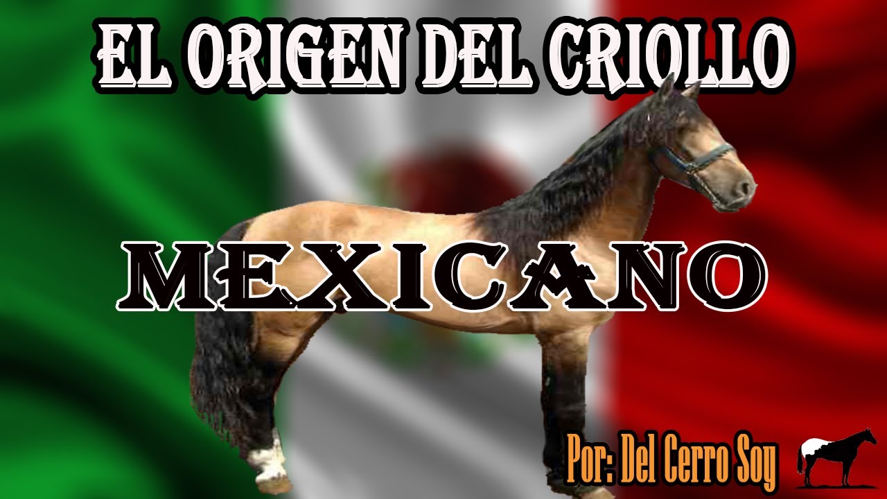El Origen Del Criollo Mexicano (La Serie)🐴-Del Cerro Soy - YouTube