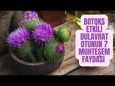 DULAVRAT OTU NEDİR/DULAVRAT OTU FAYDALARI/DULAVRAT OTU YAĞI FAYDALARI/DULAVRAT OTU ÇAYI FAYDALARI