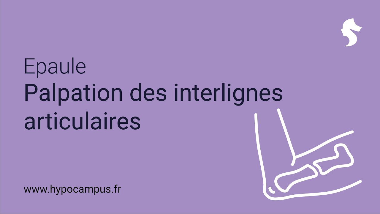 Epaule - Palpation des interlignes articulaires - YouTube