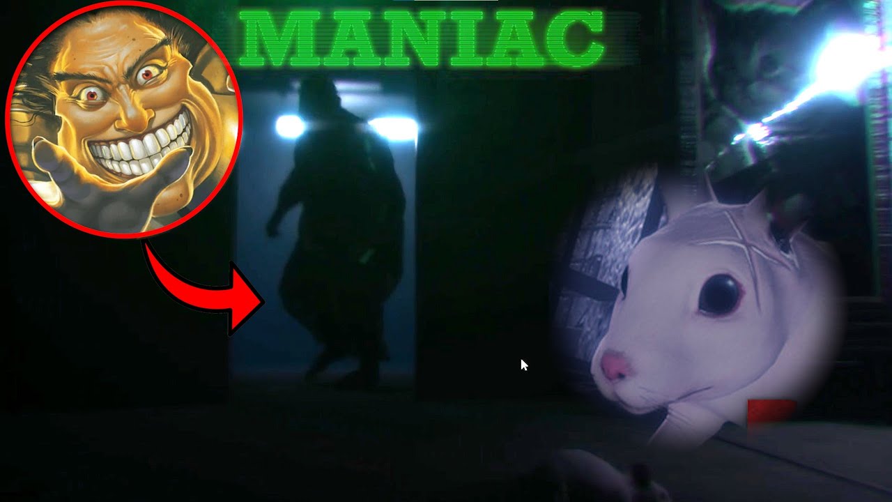 pov: you are a rat and a PSYCHO MANIAC is chasing you... | Rat Cage ...